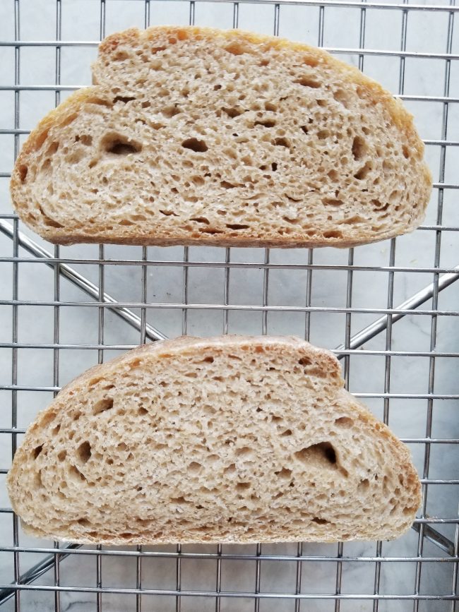 How to make whole wheat ciabatta bread - The Hint of Rosemary